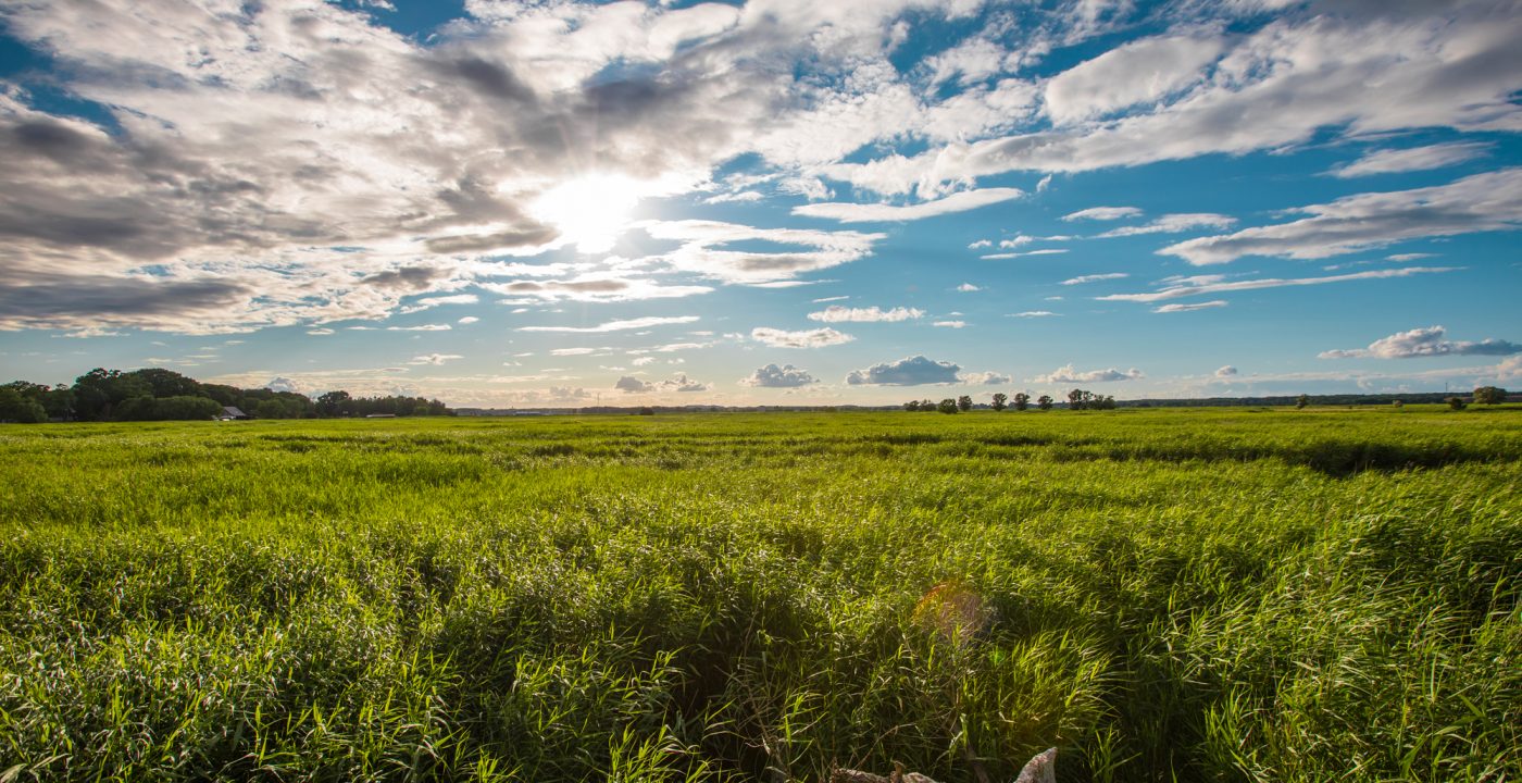 Proč Svinoústí? - Świnoujście